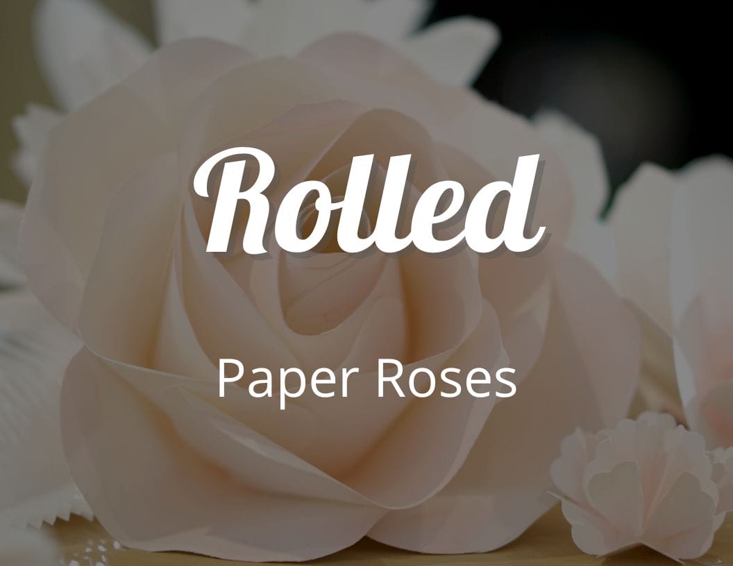 How to Make Rolled Paper Roses - CraftyThinking