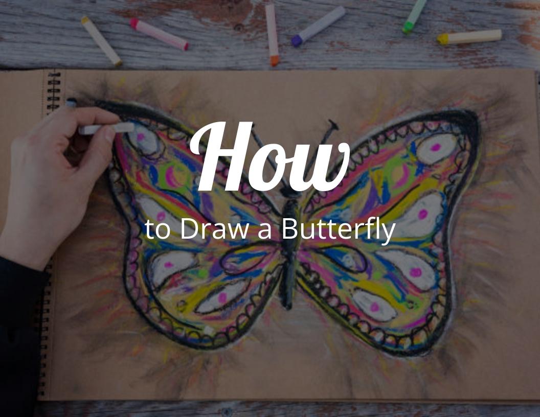 How to Draw a Butterfly Step by Step Guide - CraftyThinking